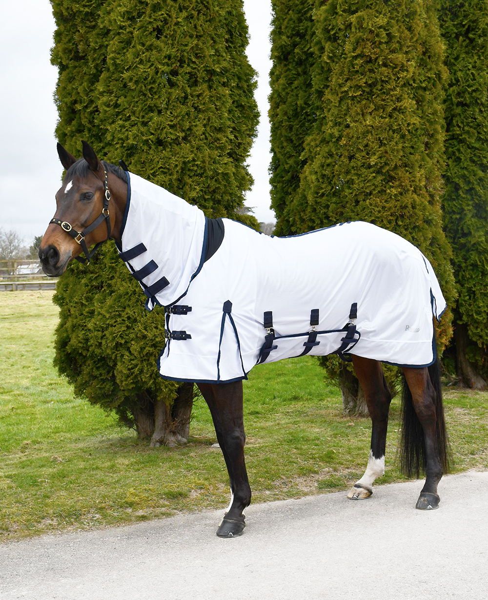 Africa Combo Fly Rug - Rhinegold Equestrian